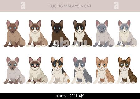 Kucing Malaysia cat clipart. All coat colors set. All cat breeds ...