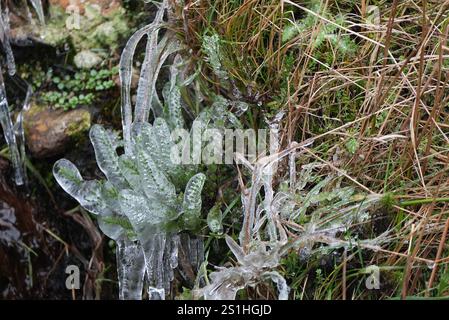 Icicles at the Wicklow Gap mountain pass in Co Wicklow as Ireland ...