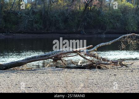 RIVER RUNS DRY: Prolonged drought conditions in a warming world dry up ...