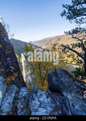Stunning fall foliage stretches across the mountain landscape as seen ...
