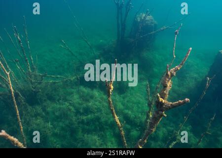 Deep underwater landscape in Rummu quarry with sun rays piercing ...