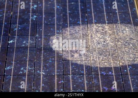 Defective modules of a photovoltaic system, moisture has penetrated the ...