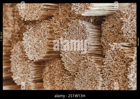 Processing of reed for thatching Stock Photo - Alamy