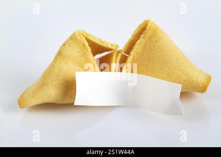 Fortune biscuits on a light background Stock Photo - Alamy