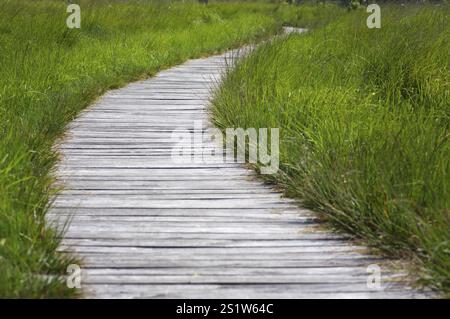 Eternal sea with moor nature trail Stock Photo - Alamy