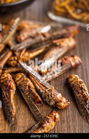 Dried salted insect. Roasted grasshoppers and meal worms on a kitchen ...