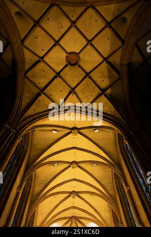 Gothic rib vault in Saint Martin Church interior from 1365 in Colmar ...