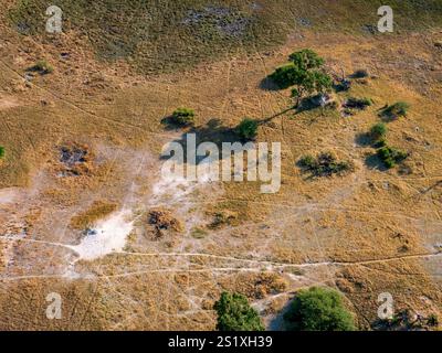 Landscape in Botswana. Flight from Maun to the Okavango Delta by ...