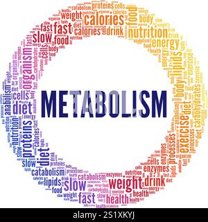 Metabolism word cloud conceptual design isolated on white background ...