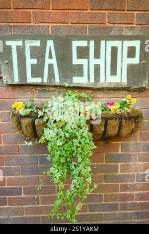 Tea shop sign with hanging basket UK Stock Photo - Alamy