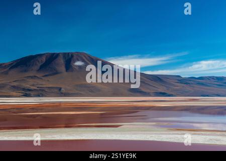 Laguna Colorada landscape,Bolivia. Beautiful bolivian panorama. Red ...
