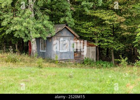 Wooden cabin surrounded by lush green trees in a serene forest setting ...