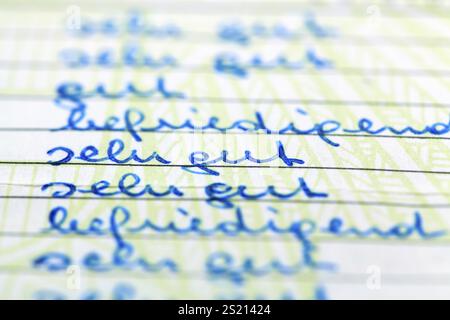 The report of a pupil in a school. Grading of performance. Austria ...