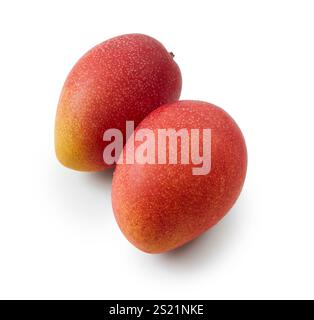 Fully ripe mango Stock Photo - Alamy