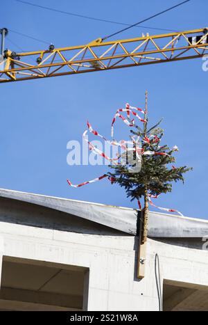 The topping-out ceremony was reached on the construction site of a ...
