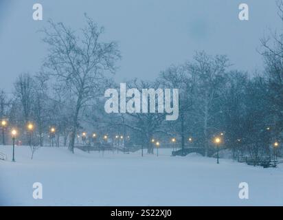 Snow covers Dunn Meadow during a major winter storm in Bloomington ...