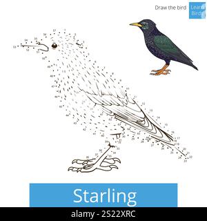 Starling bird learn to draw vector Stock Vector Image & Art - Alamy