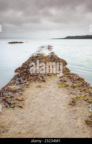 Jetty with seaweed at Moelfre, Anglesey, North Wales Stock Photo - Alamy