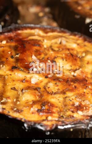 Closeup of grilled eggplant slices seasoned with spices on brown plate ...