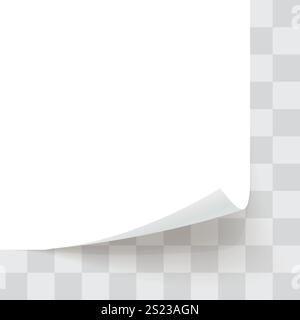 a paper bottom rolled on template back Stock Vector Image & Art - Alamy