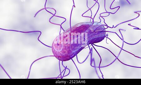 3d rendering of Bacillus subtilis bacterium with peritrichous flagella ...