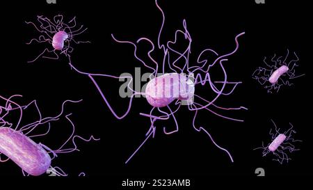 3d rendering of Bacillus subtilis bacterium with peritrichous flagella ...