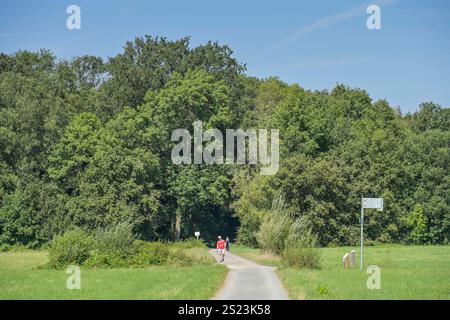 Waldwiese Schwanheimer Wiesen, Frankfurt am Main, Hessen, Deutschland ...