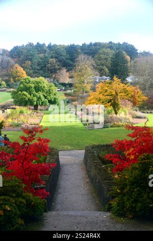 Grass steps with a border of flowers growing along the terrace in the ...