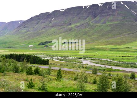Jokulsa à Dal river, Iceland Stock Photo - Alamy