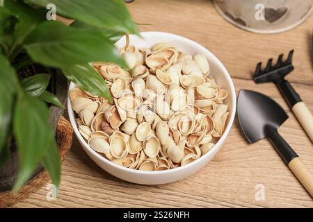 Pistachio Shells Gardening. Mulching Soil. Mulch or Compost Stock Photo ...