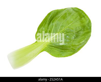 back side of leaf of bok choy ( pak choi) Chinese cabbage isolated on ...