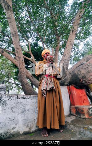 An Indian Sadhu blowing a conch ( cone shell ) during a Hindu ceremony ...