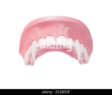 Vampire teeth isolated on white background Stock Photo - Alamy