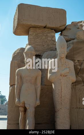 Karnak, Egypt, Africa Two statues of the goddess Sekhmet, Nature ...