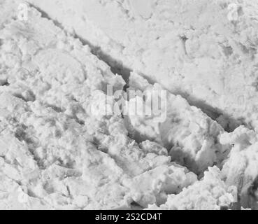 cottage cheese texture isolated Stock Photo - Alamy