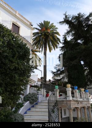 Staircase with palm tree in the garden of today's Casa Don Bosco museum ...