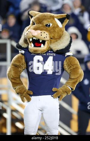 Frisco, Texas, USA. 06th Jan, 2025. A North Dakota State Bison fan ...