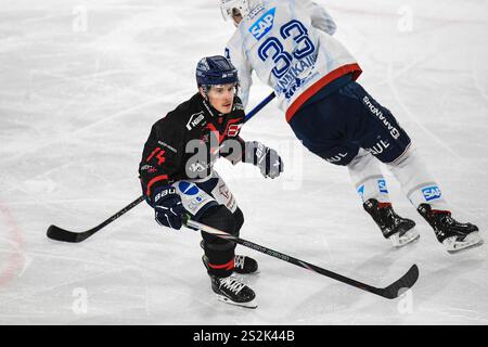 Travis St. Denis (Straubing Tigers, #74), Mario Zimmermann (Straubing ...