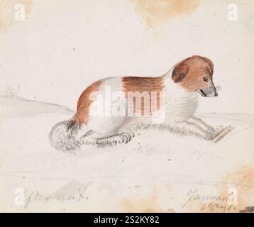 Ferdinand von Wright - Dog Stock Photo - Alamy