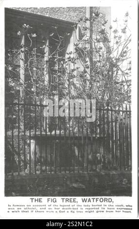 Fig Tree Tomb (3 Stock Photo - Alamy