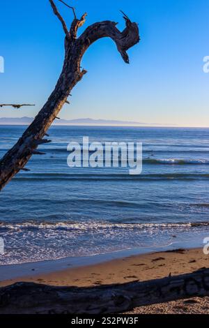 Scenes from the iconic Santa Barbara beach Stock Photo - Alamy