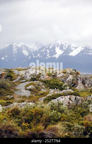 A vertical shot of the snowy rocky mountains under an evening sky in ...