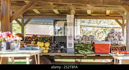 honor stand in bridgehampton, ny Stock Photo - Alamy