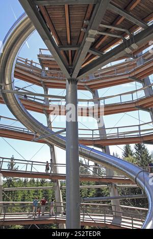 Black Forest treetop walk observation tower, Bad Wildbad, Baden ...