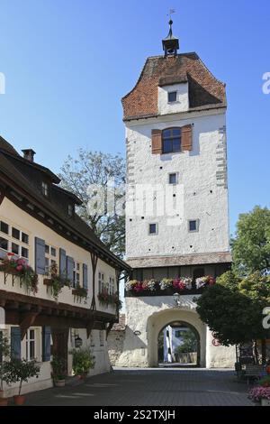 Germany, Baden-Wuerttemberg, district of Ravensburg, Waldburg Castle ...