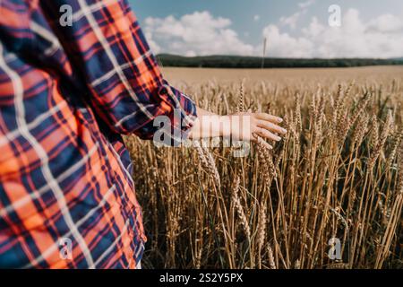 Hand Reaching Through Wheat Field Stock Photo - Alamy