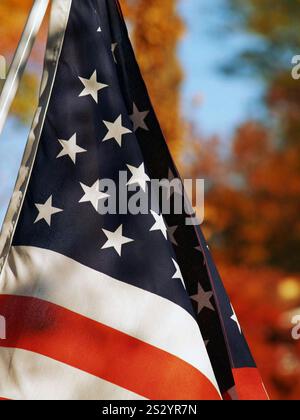 Happy Thanksgiving. USA American flag. Fall decor with autumn leaves ...