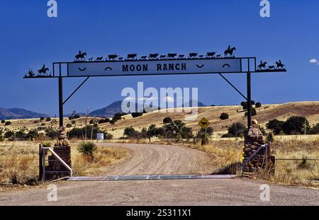 A scenic view of the tranquil Iron Gate river surrounded by evergreen ...