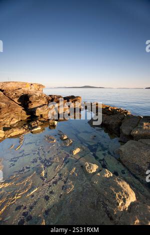 Tidal pools by the oceanside Stock Photo - Alamy
