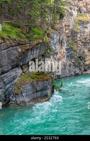 Maligne river Jasper National Park Jasper Alberta Canada Stock Photo ...